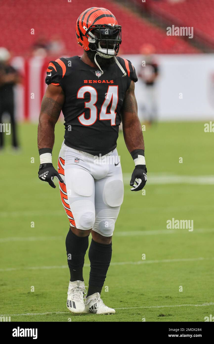 Cincinnati Bengals running back Samaje Perine (34) warms up against the ...