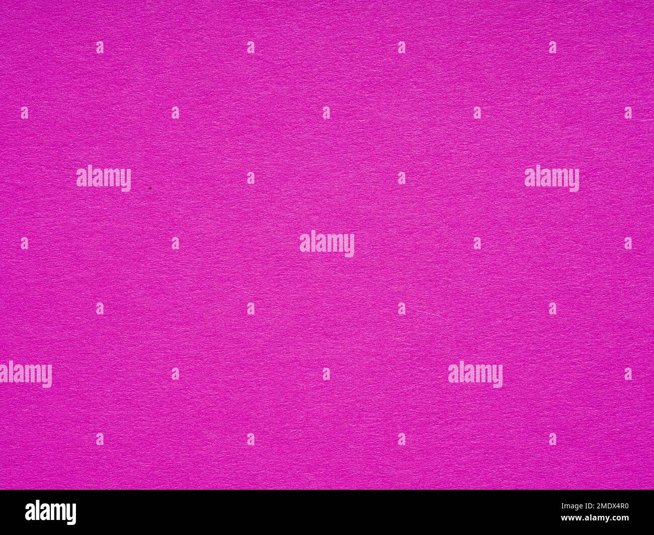 Fuchsia, hot pink color matte paper texture, abstract background. Blank ...