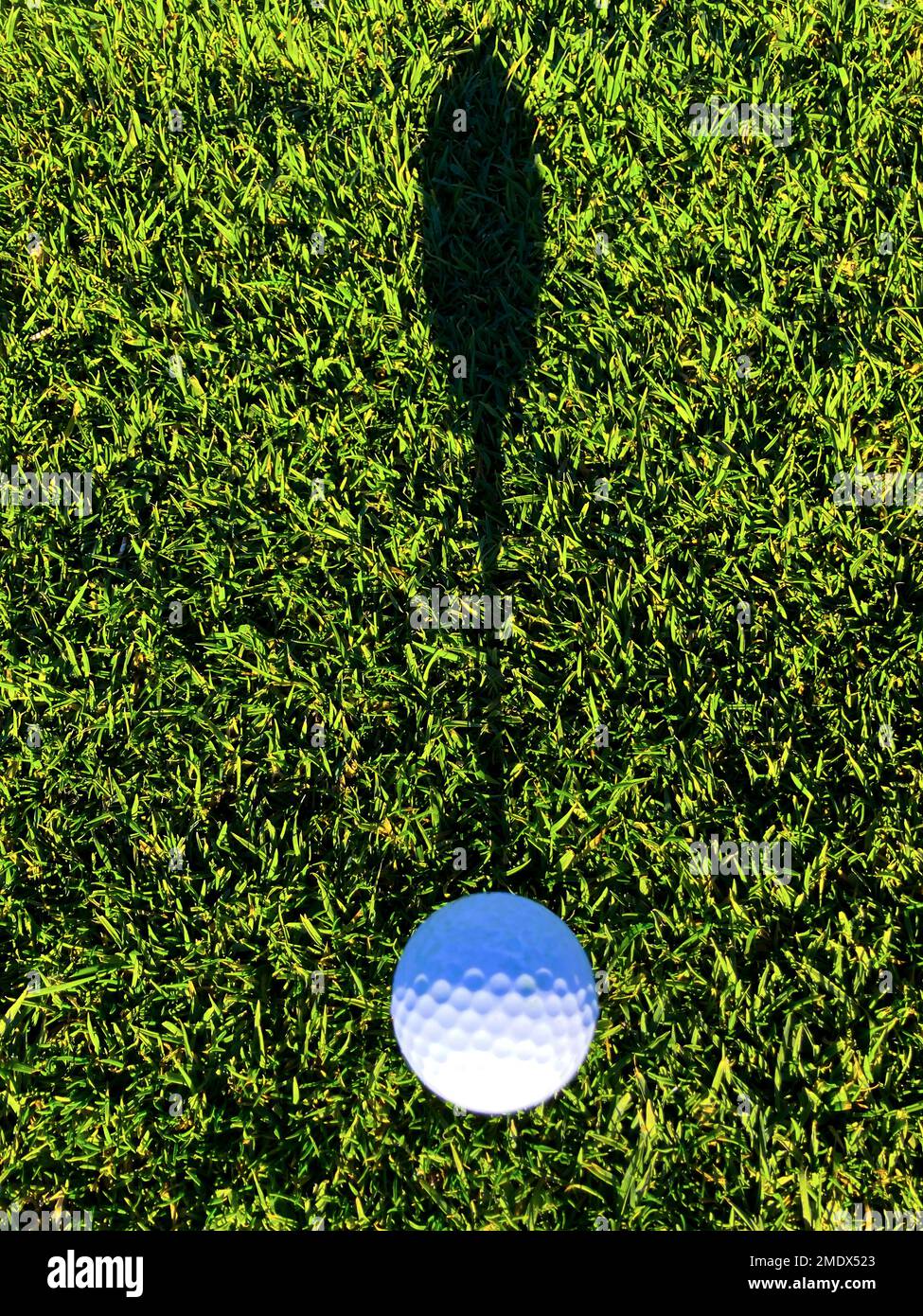 Golf Ball on Tee with Shadow on Fairway Grass with Sunlight in Lugano ...