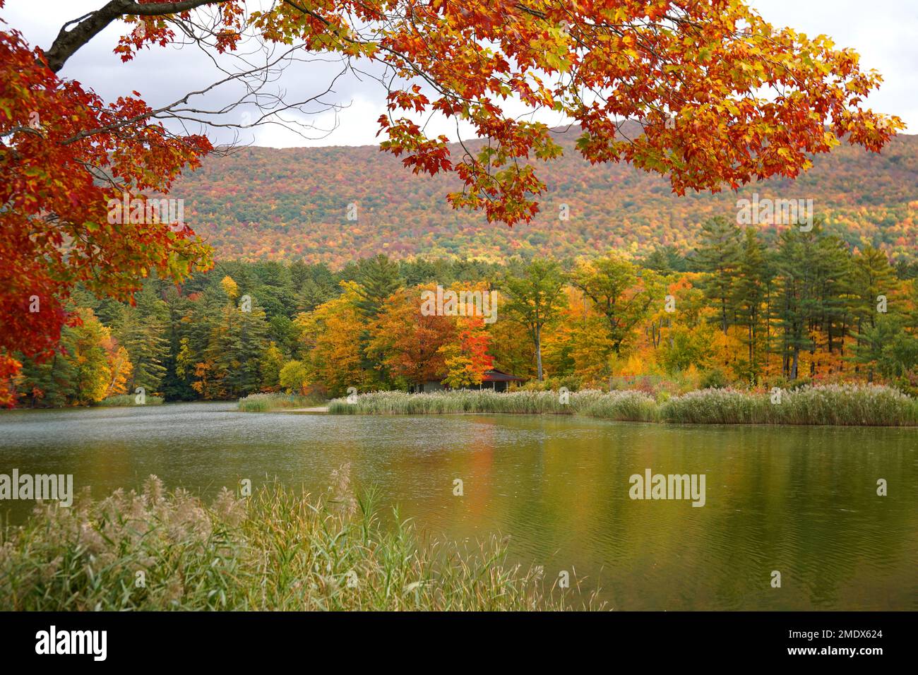 Lake surrounded by Fall color in Massachusetts Stock Photo - Alamy