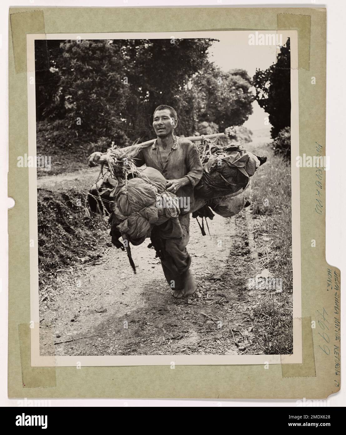 A Japanese native from Iheya Shima, a small island near Okinawa ...