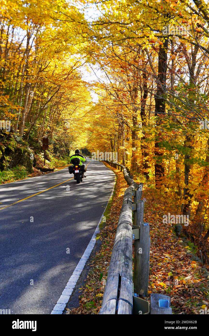 Road Trip in Autumn on a Motorcycle Stock Photo - Alamy
