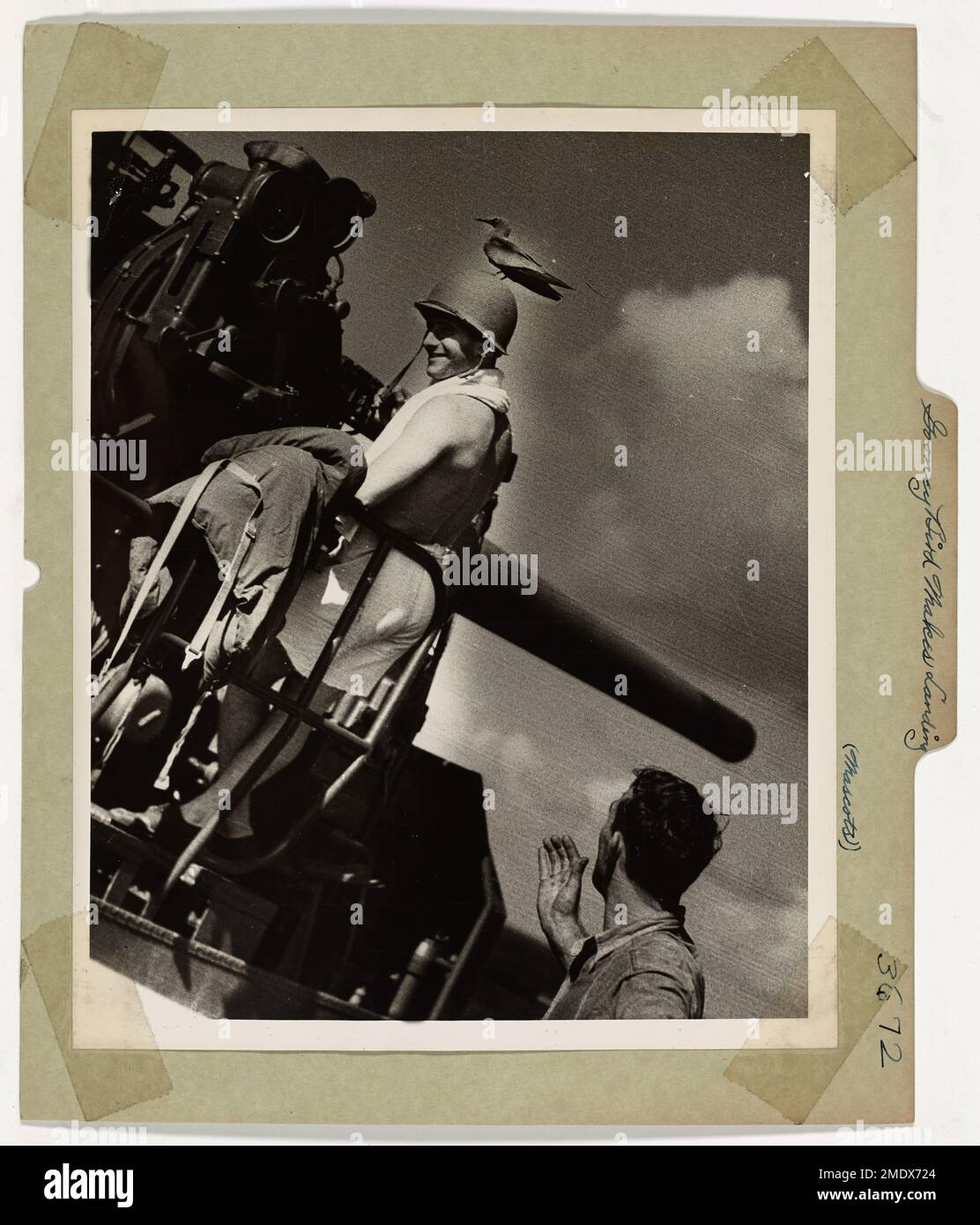 A Gooney Bird, numbed by the nearby gunfire from a Coast Guard-manned ...