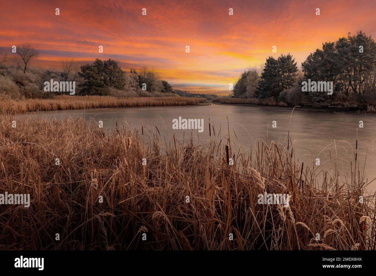 Swedish winter sunset hi-res stock photography and images - Alamy