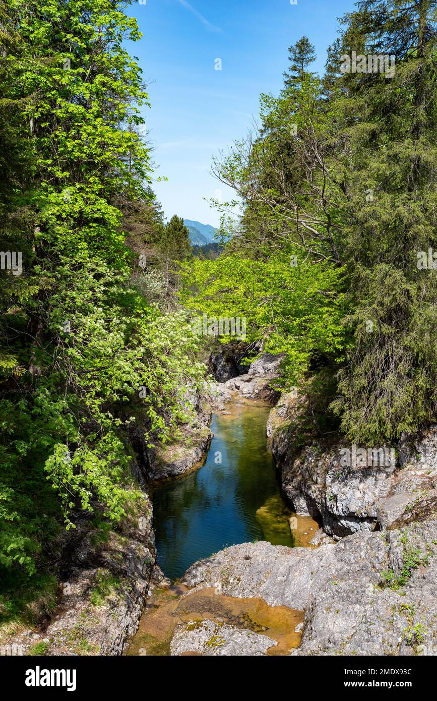View into the Archbach gorge over a natural water basin in the ...