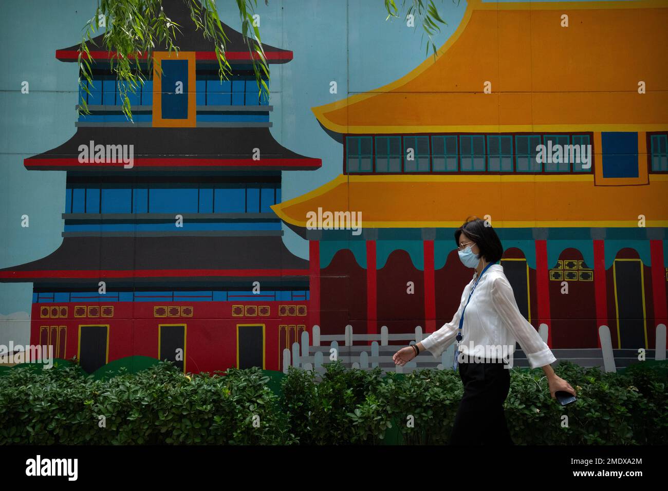 A woman wearing a face mask to protect against the spread of COVID-19 ...