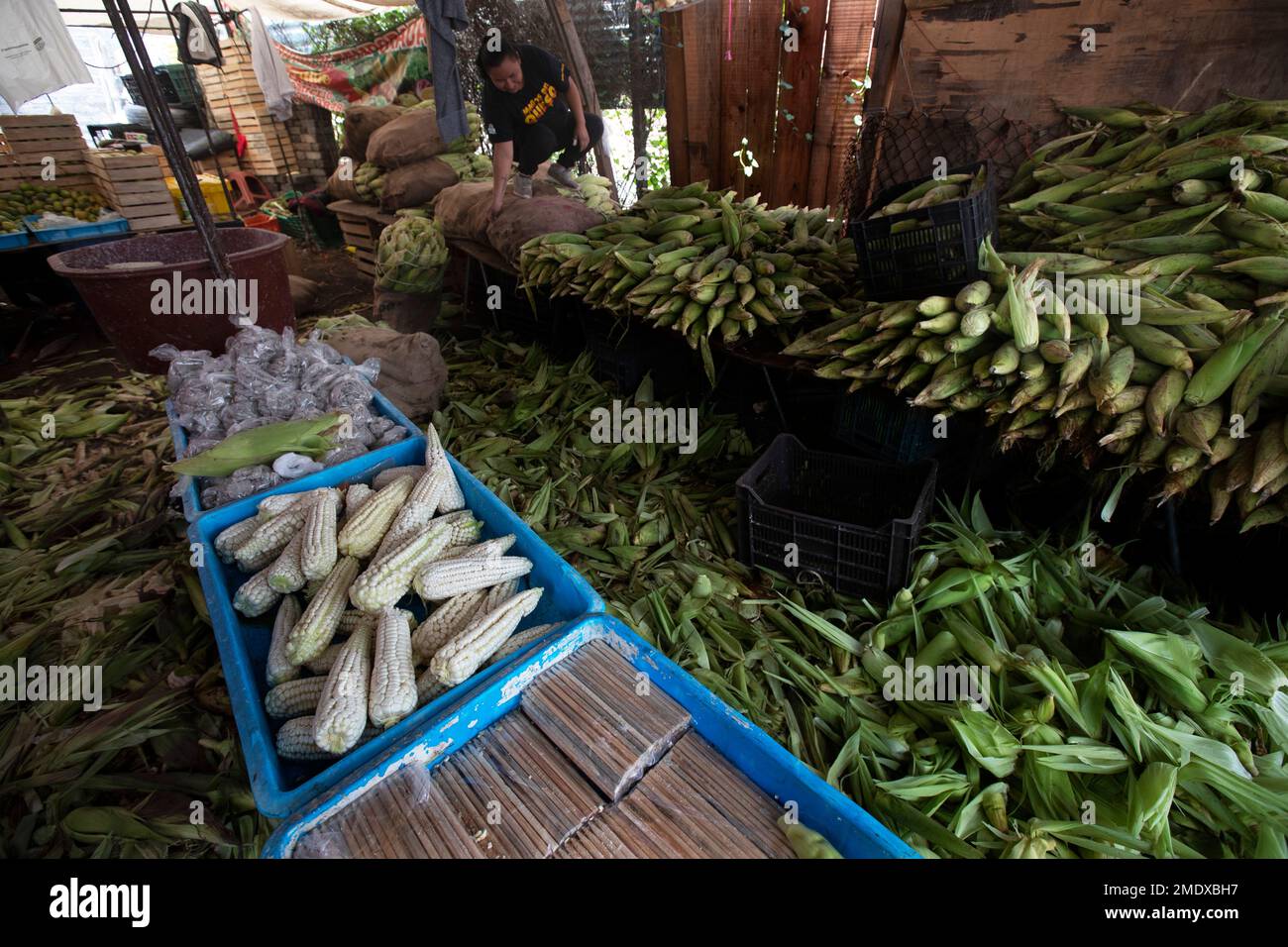 A farmer sells corn at a market in Xochimilco, Mexico City, Thursday ...