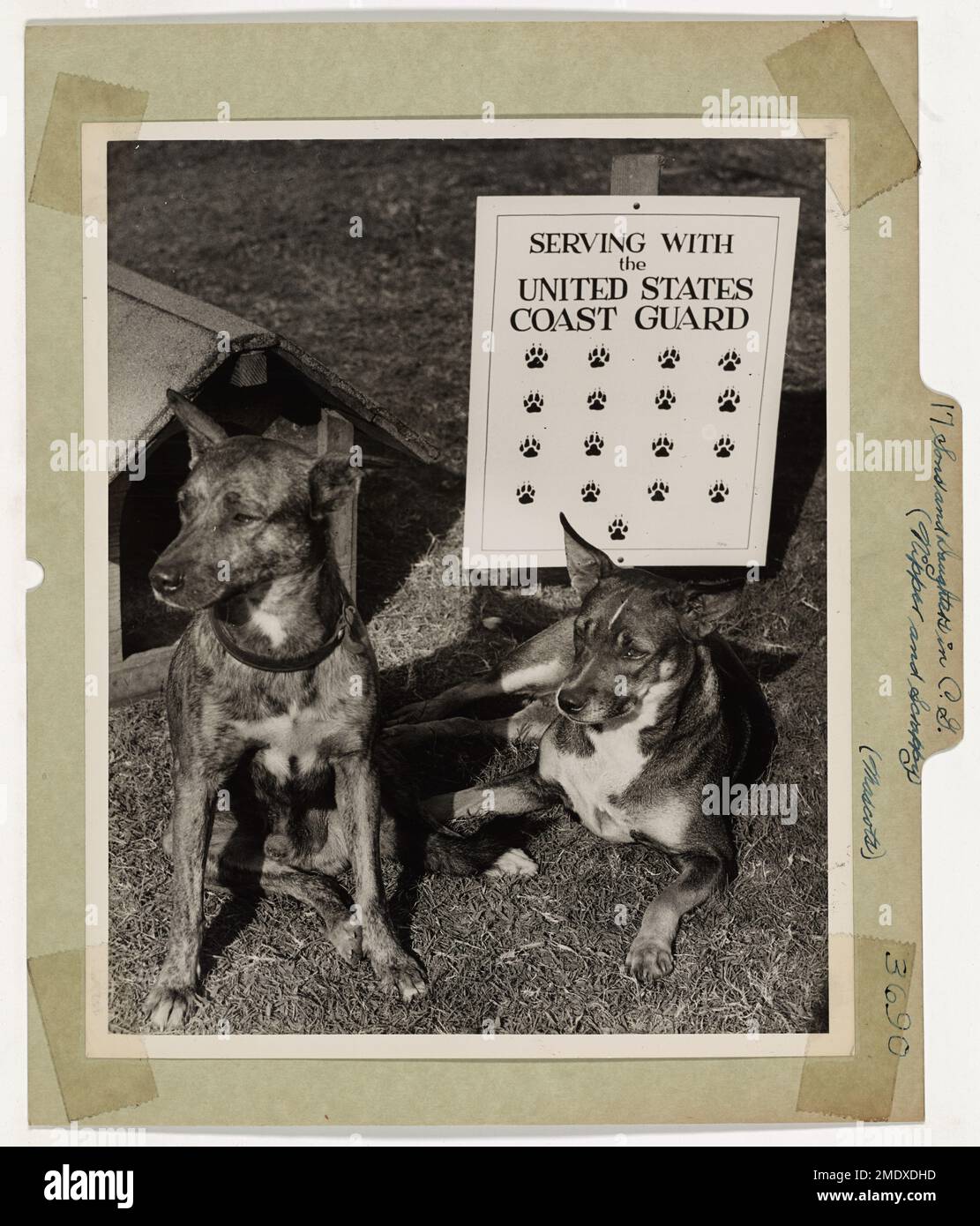 Scrappy hi-res stock photography and images - Alamy