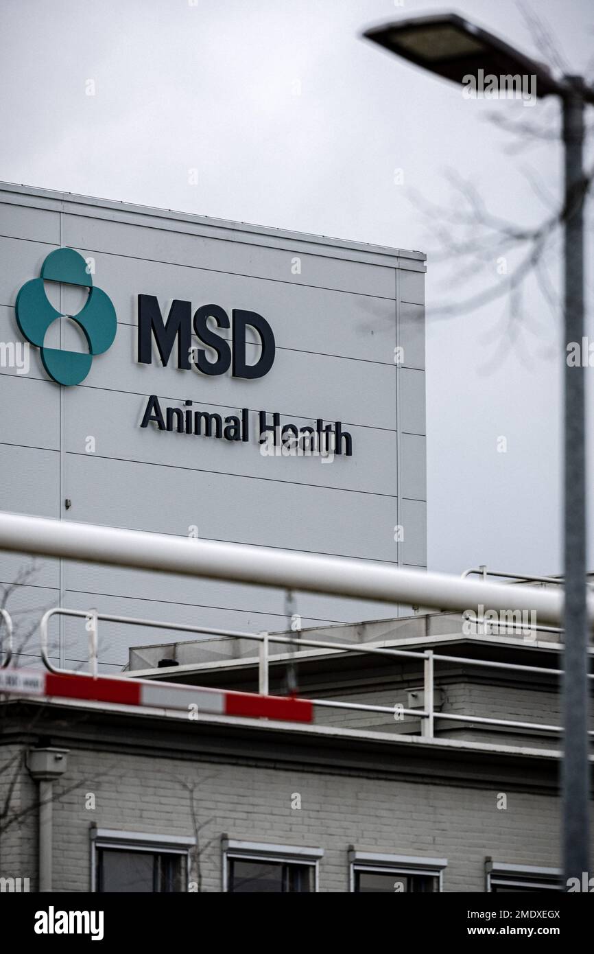 BOXMEER - Exterior of the new MSD Animal Health vaccine factory. At the ...