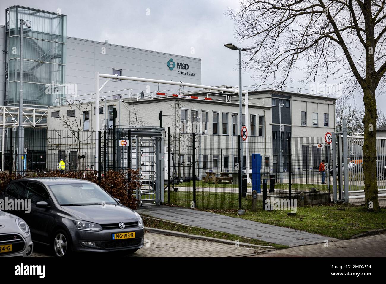 BOXMEER - Exterior of the new MSD Animal Health vaccine factory. At the ...