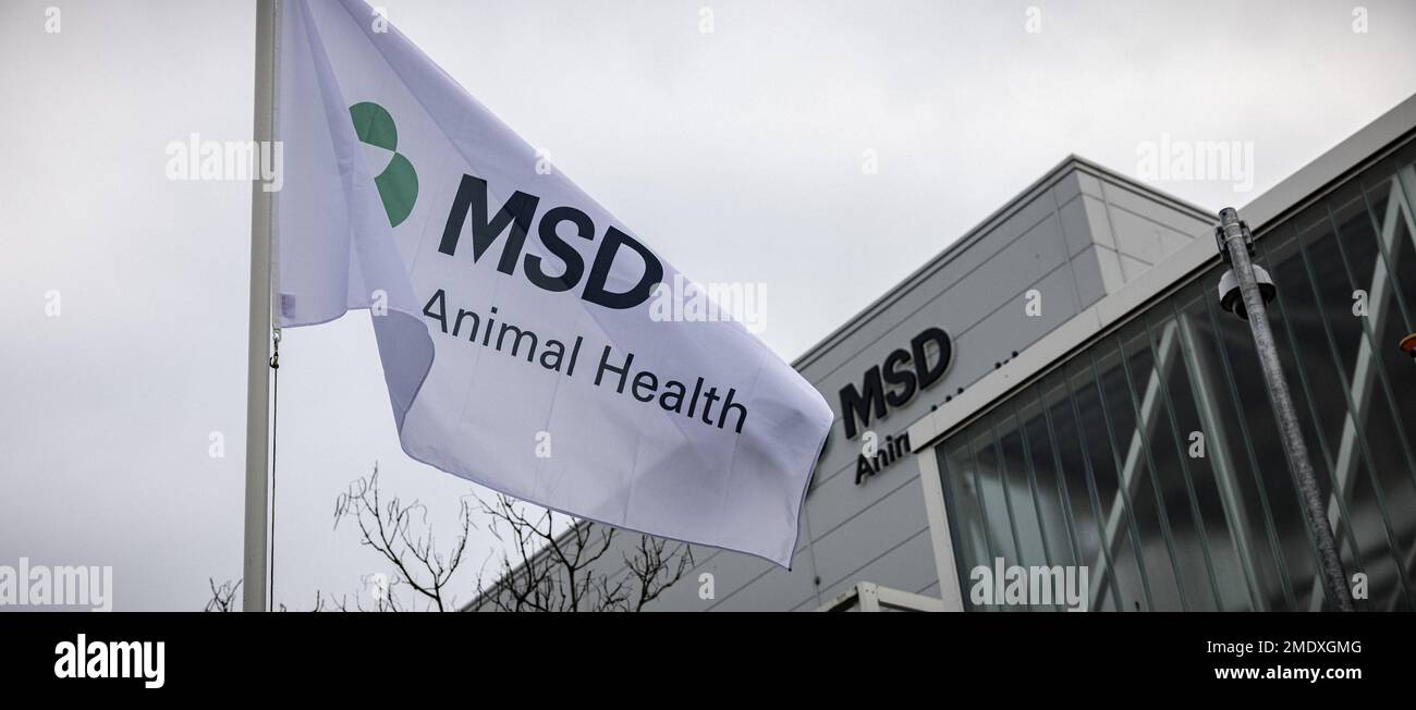 BOXMEER - Logo of MSD Animal Health. At the De Boxmeer pharmaceutical manufacturer, they make ...