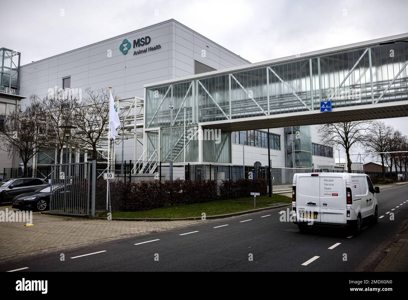 BOXMEER - Exterior of the new MSD Animal Health vaccine factory. At the ...