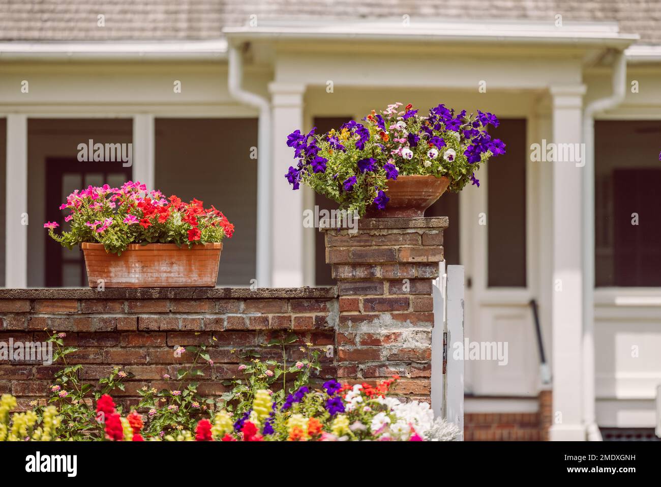 Bright colored spring potted plants on a brick ledge wall filled with ...