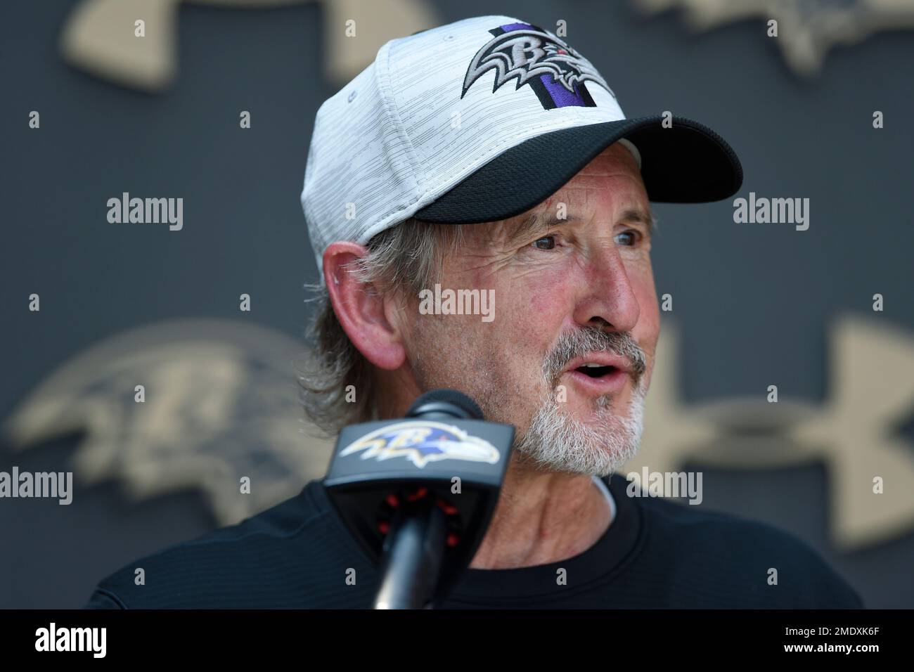Baltimore Ravens running back coach Craig Ver Steeg answers questions ...