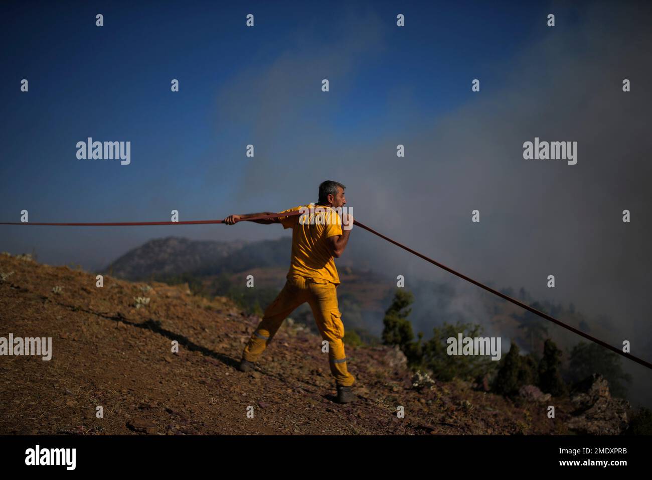 A firefighter carries a hosepipe as they extinguish a wildfire in ...