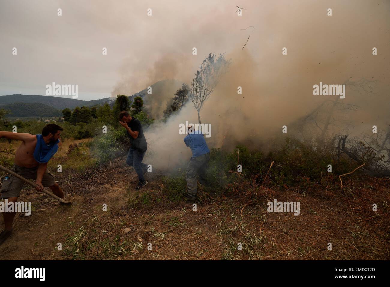 Local residents try to extinguish a fire at Ellinika village on Evia ...