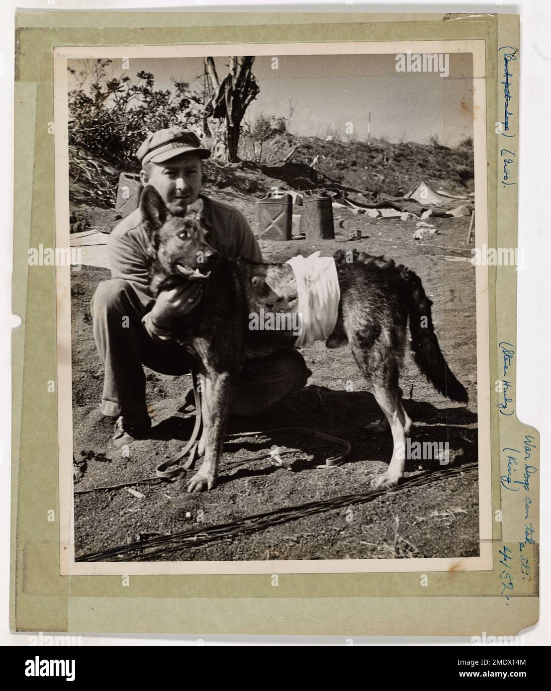 A brave war dog, injured with eight shrapnel wounds, symbolizes the ...