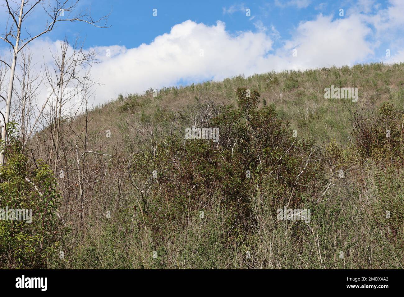 In between the Santa Monica Mountains maritime terminus and their ...