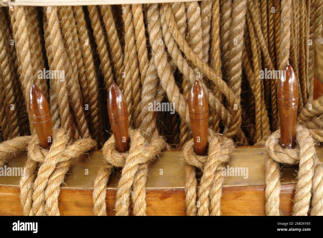 Maneuver ropes turned on toggles on the Amerigo Vespucci sailing school ...