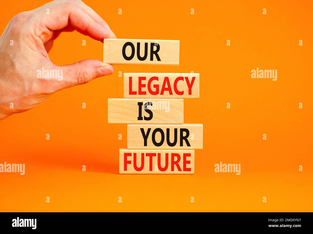 Legacy and future symbol. Concept words Our legacy is your future on wooden blocks. Beautiful ...