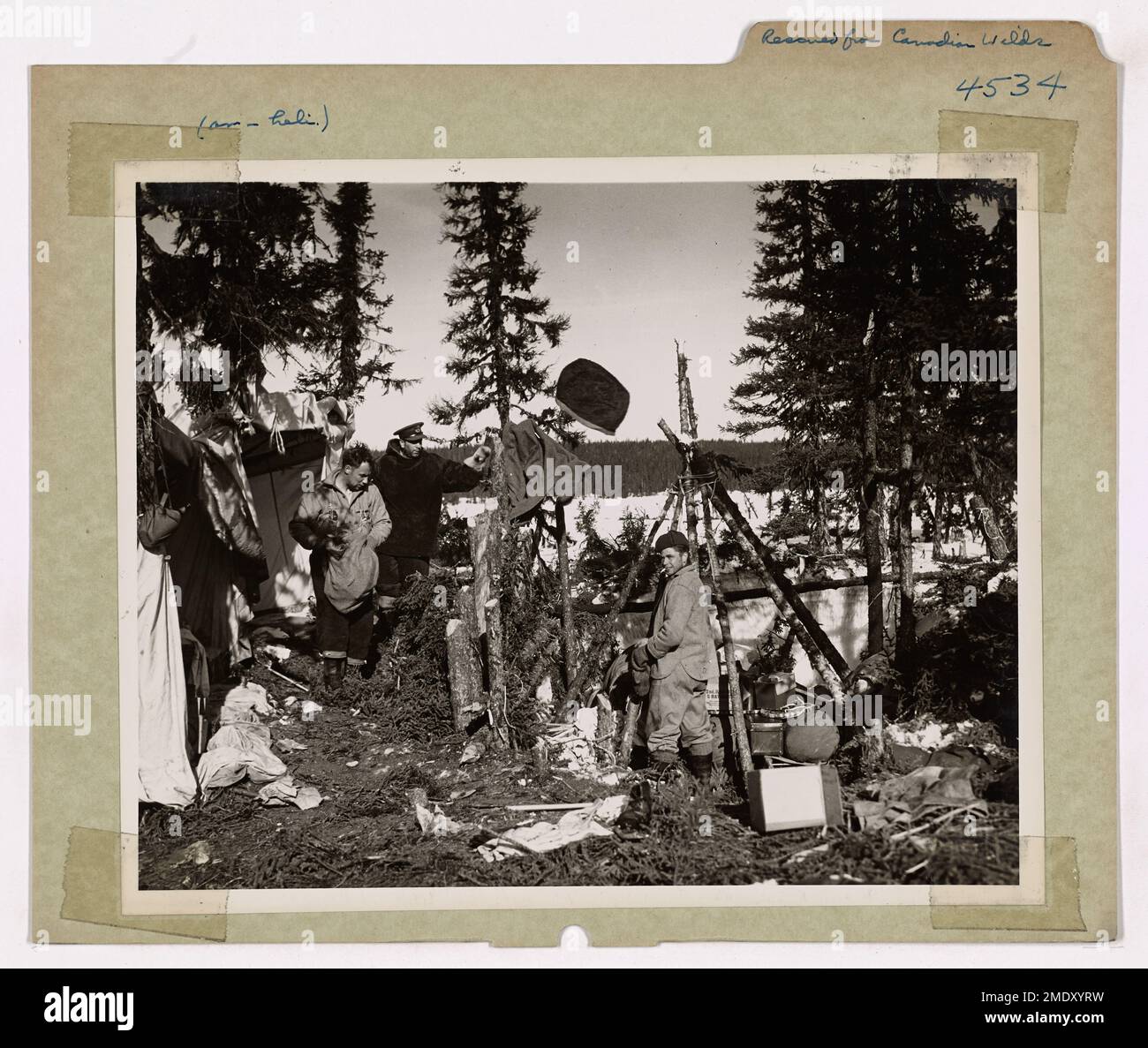 Eleven Canadians, stranded in Northern Labrador after a plane crash and ...