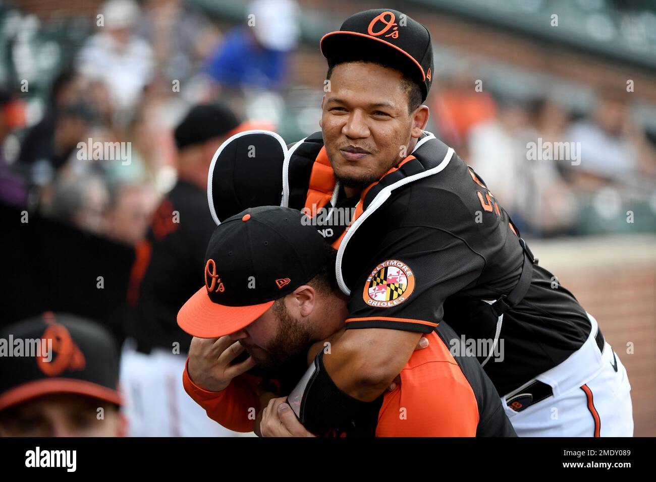 Baltimore Orioles' Pedro Severino hangs on teammate DJ Stewart prior a ...
