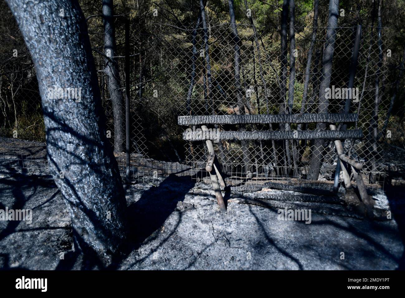 A burned bench at a playground in Kryoneri, in northern Athens, Greece ...