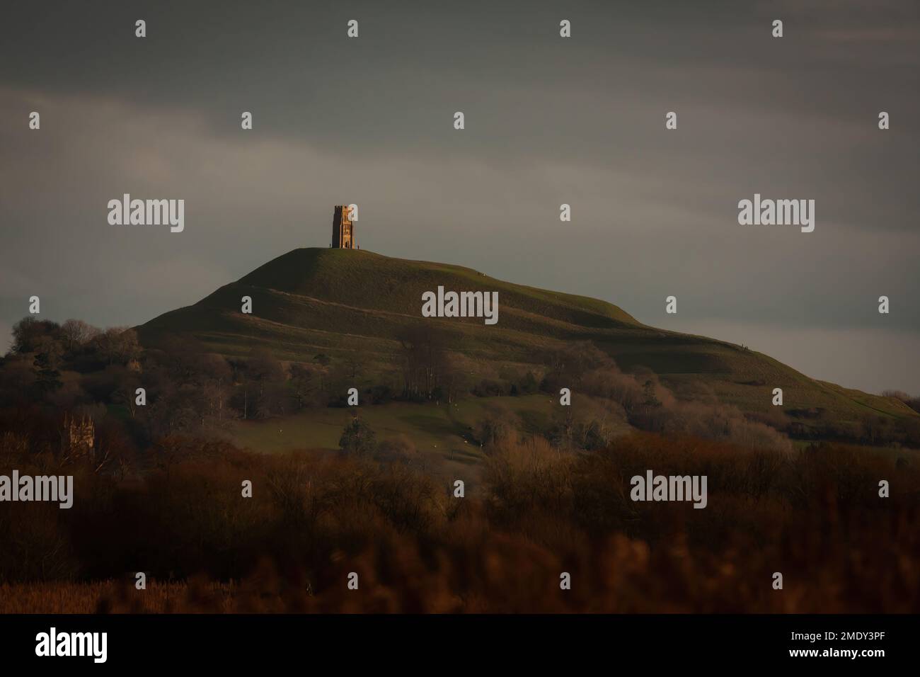 Glastonbury Tor from afar through Ham Wall Nature Reserve Stock Photo ...