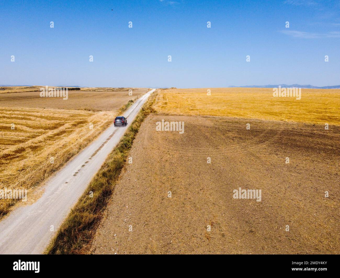 Aerial view of a car driving along a rural dirt road between wheat ...