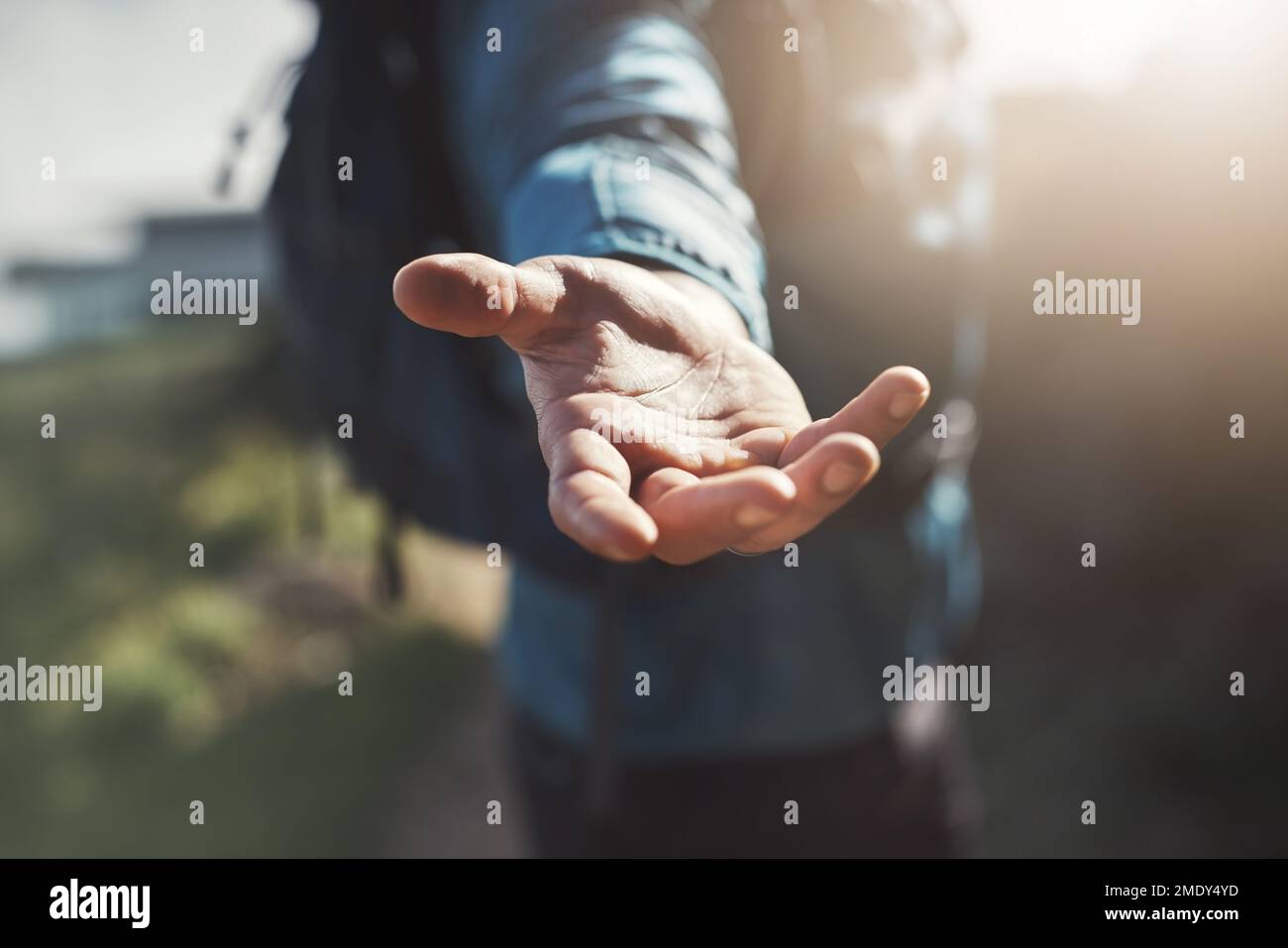 Nature always manages to touch your soul. Close up shot of an ...