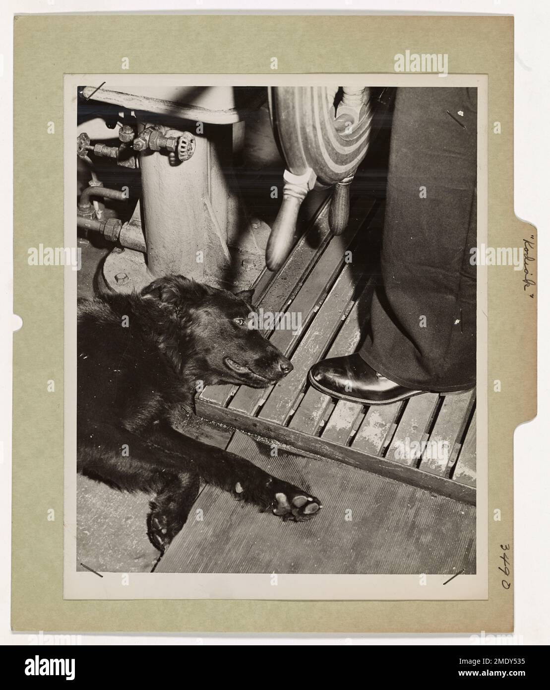 In an Alaskan port, a friendly black dog named Kodiak joined the crew ...