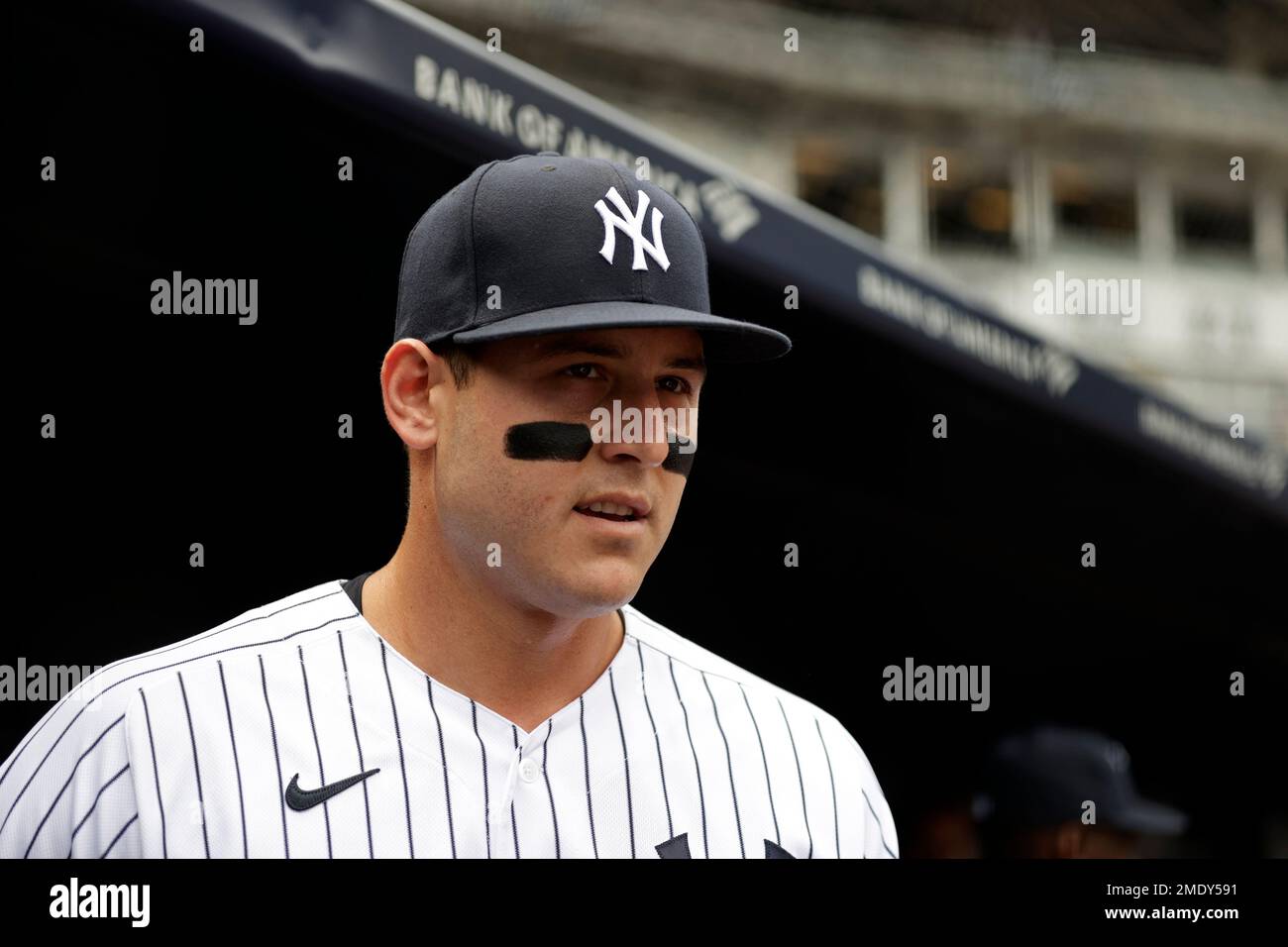 New York Yankees first baseman Anthony Rizzo (48) looks on from the ...