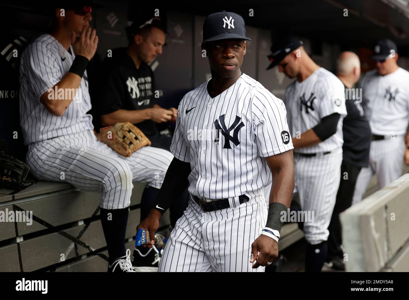 New York Yankees center fielder Jonathan Davis (36) looks on from the ...