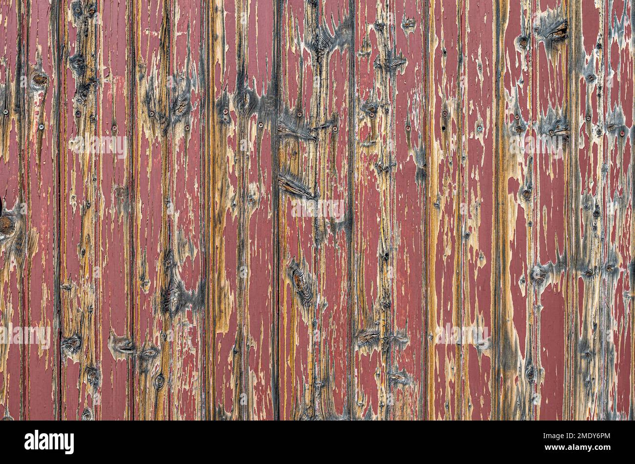 A portion of wall of weathered painted boards on the exterior of a ...