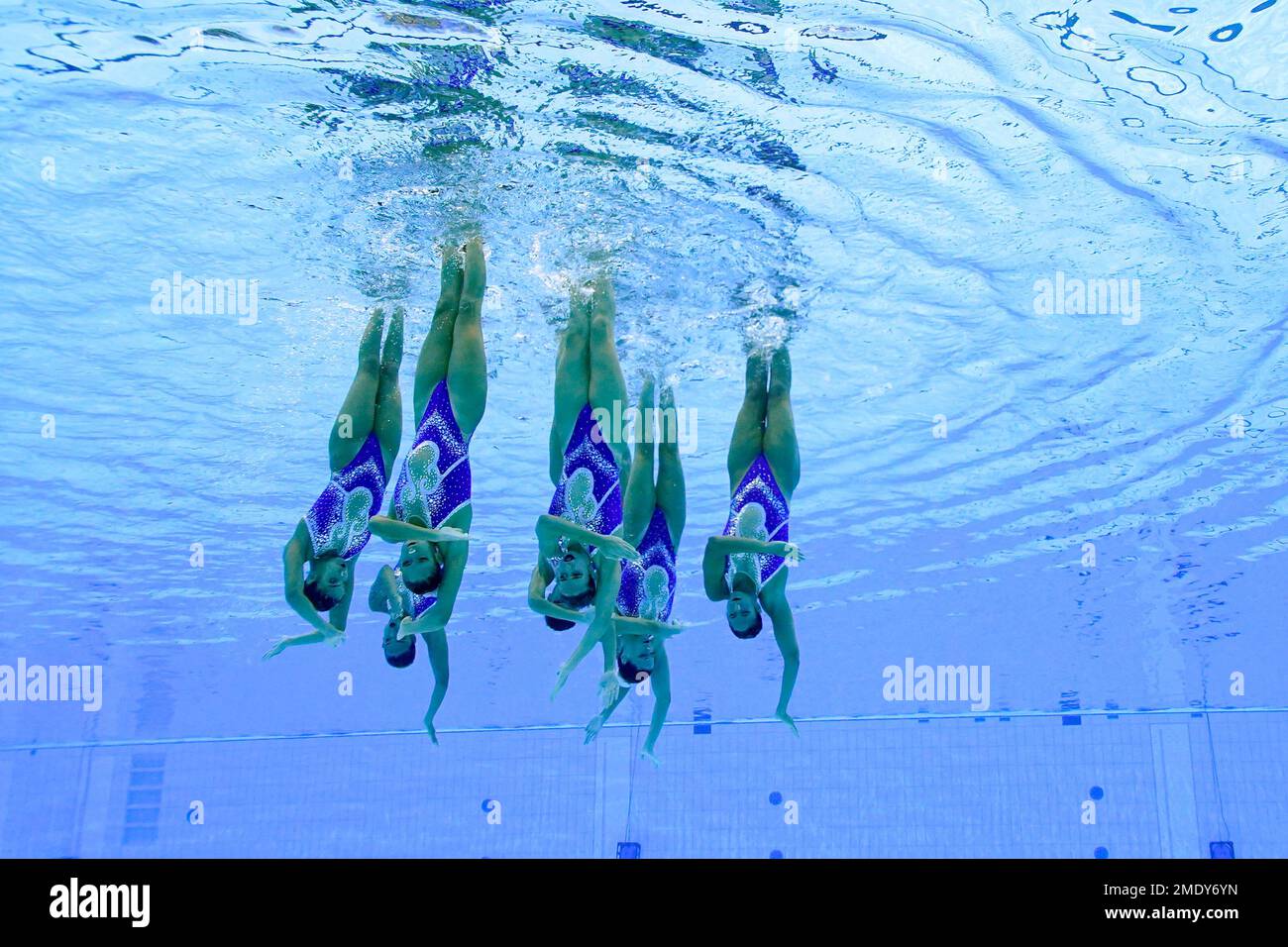 The Egypt artistic swimming team competes during the team free routine ...