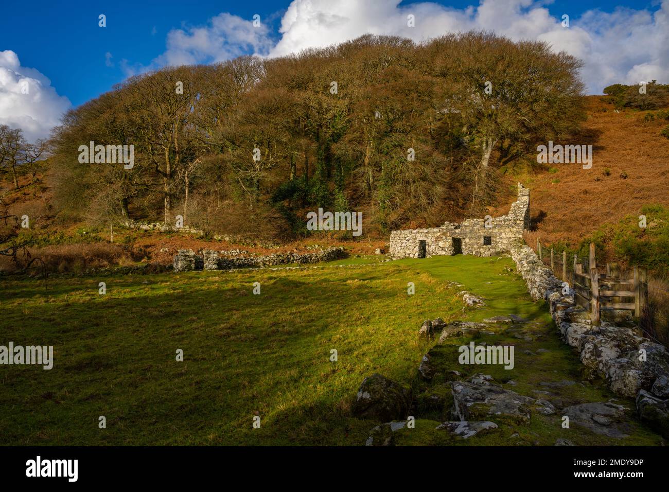 St. Cybi's Well near Llangybi, Pwllheli Wales Stock Photo - Alamy