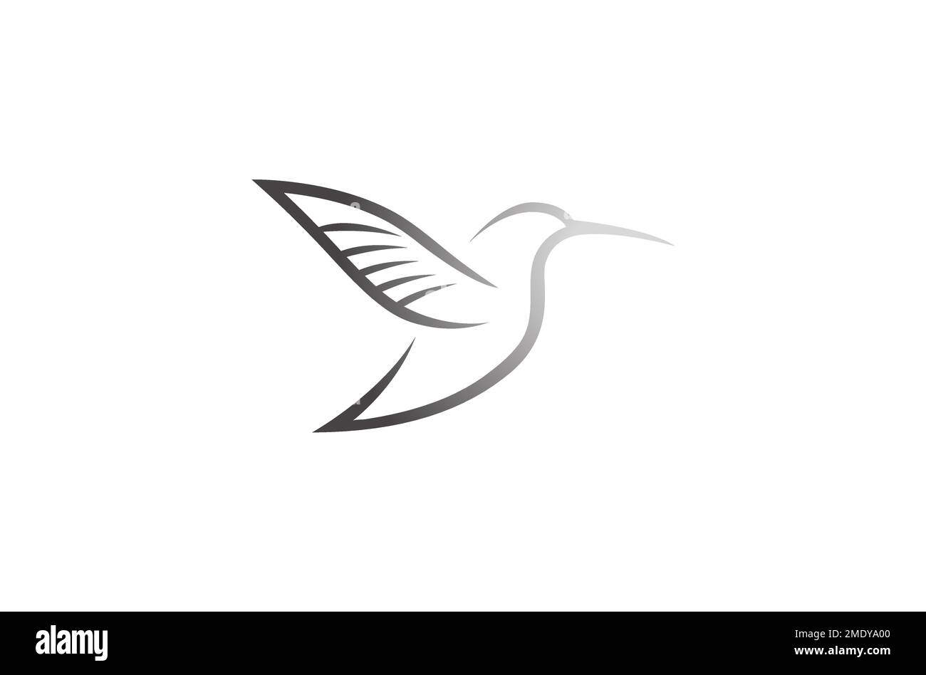 Hummingbird Gray Bird Logo Vector Symbol Icon Sign Illustration Stock ...