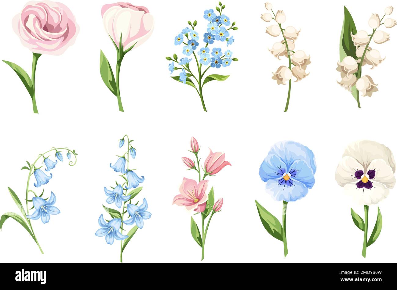Set of pink, blue, and white flowers (pansy, forget-me-not, lisianthus ...