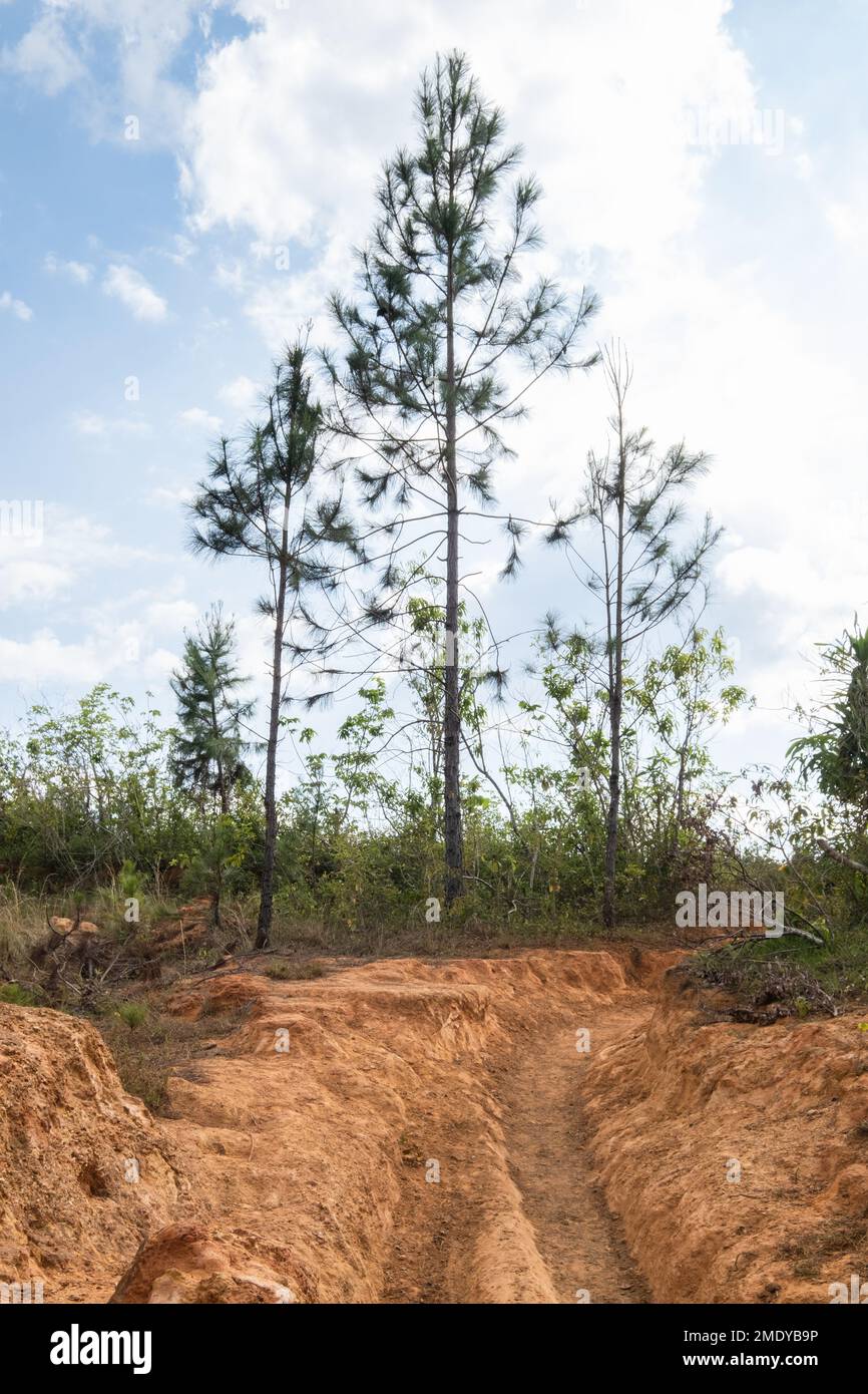 Red, iron-rich soil in Valle de Palmarito, Viñales, Cuba Stock Photo ...