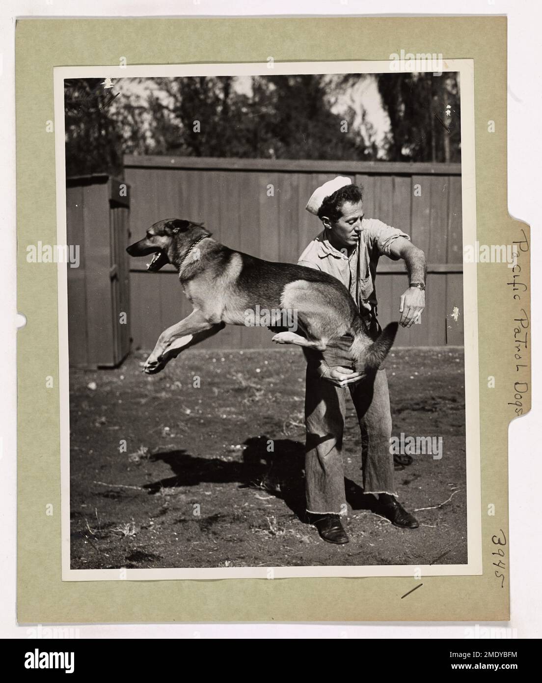 A Coast Guard patrol dog leaps through the arms of its trainer in this ...