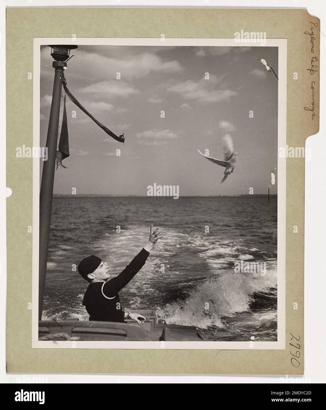 Coast Guard carrier pigeons were used to carry bombing practice records ...