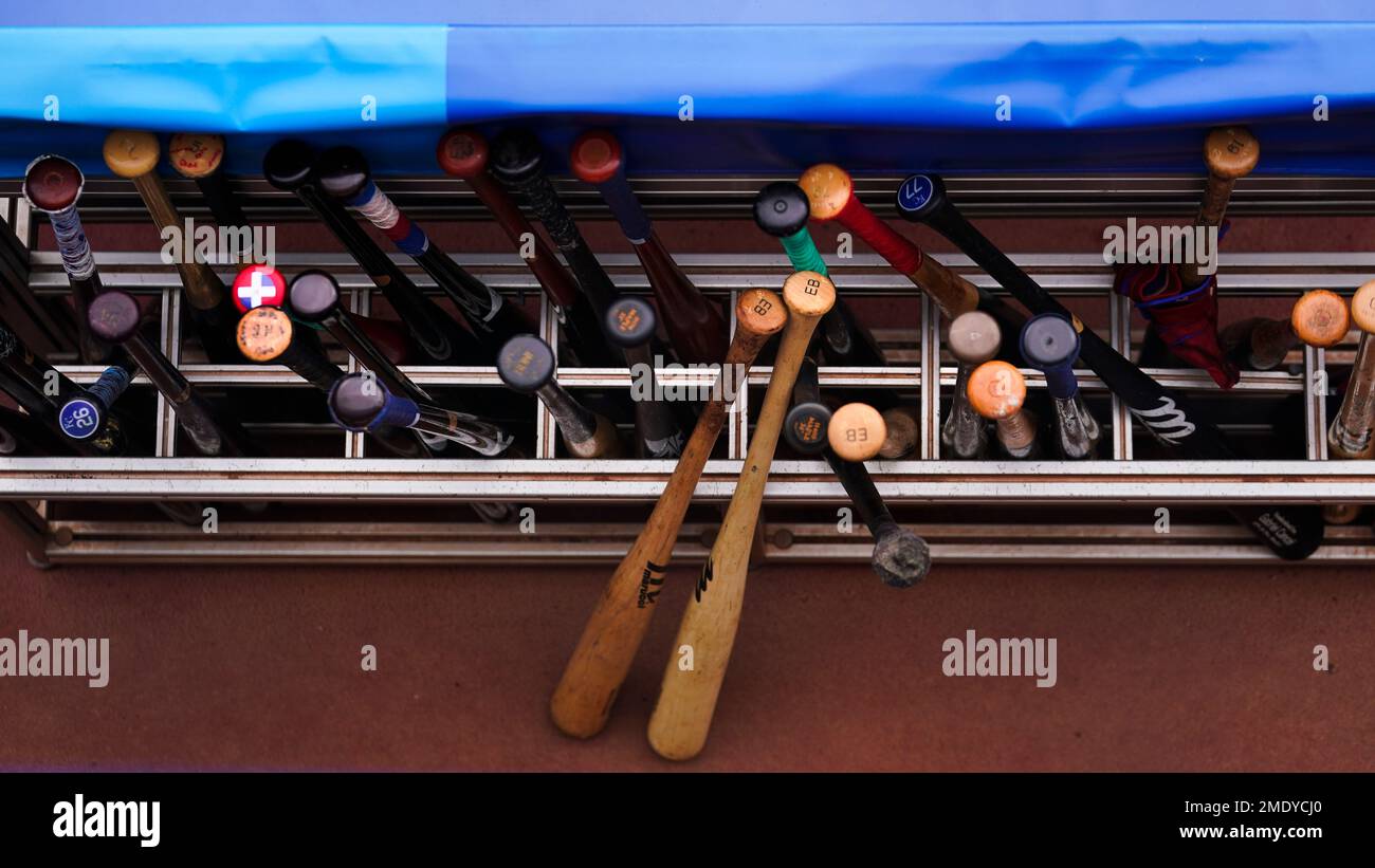 Shown are bats in the Dominican Republic dugout ahead a bronze medal ...
