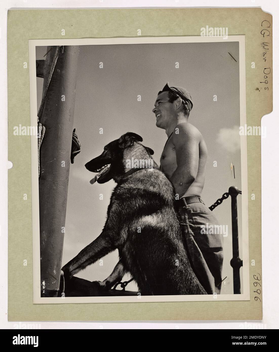 Coast Guard War Dogs. This image depicts a brown and black German ...