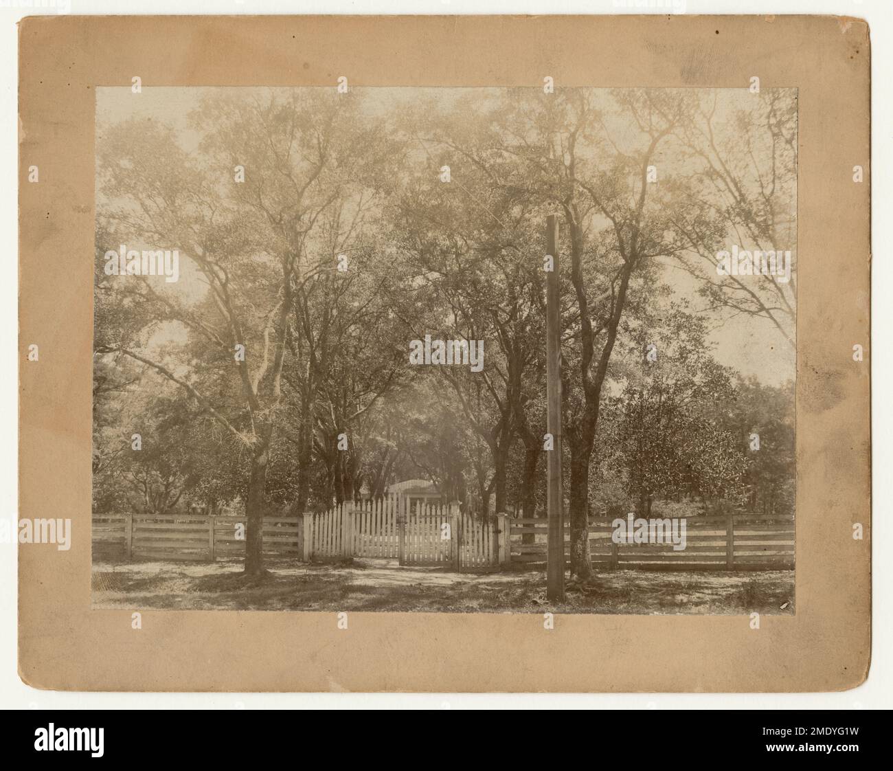 A photograph of a gated home surrounded by tall trees, providing a ...