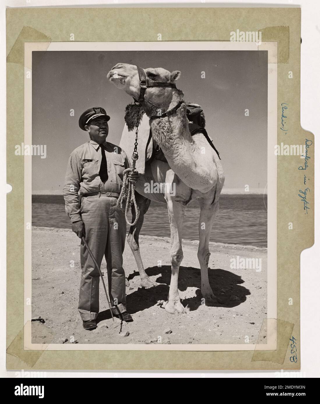 Coast Guard Commander Jack Dempsey, former heavyweight boxing champion ...
