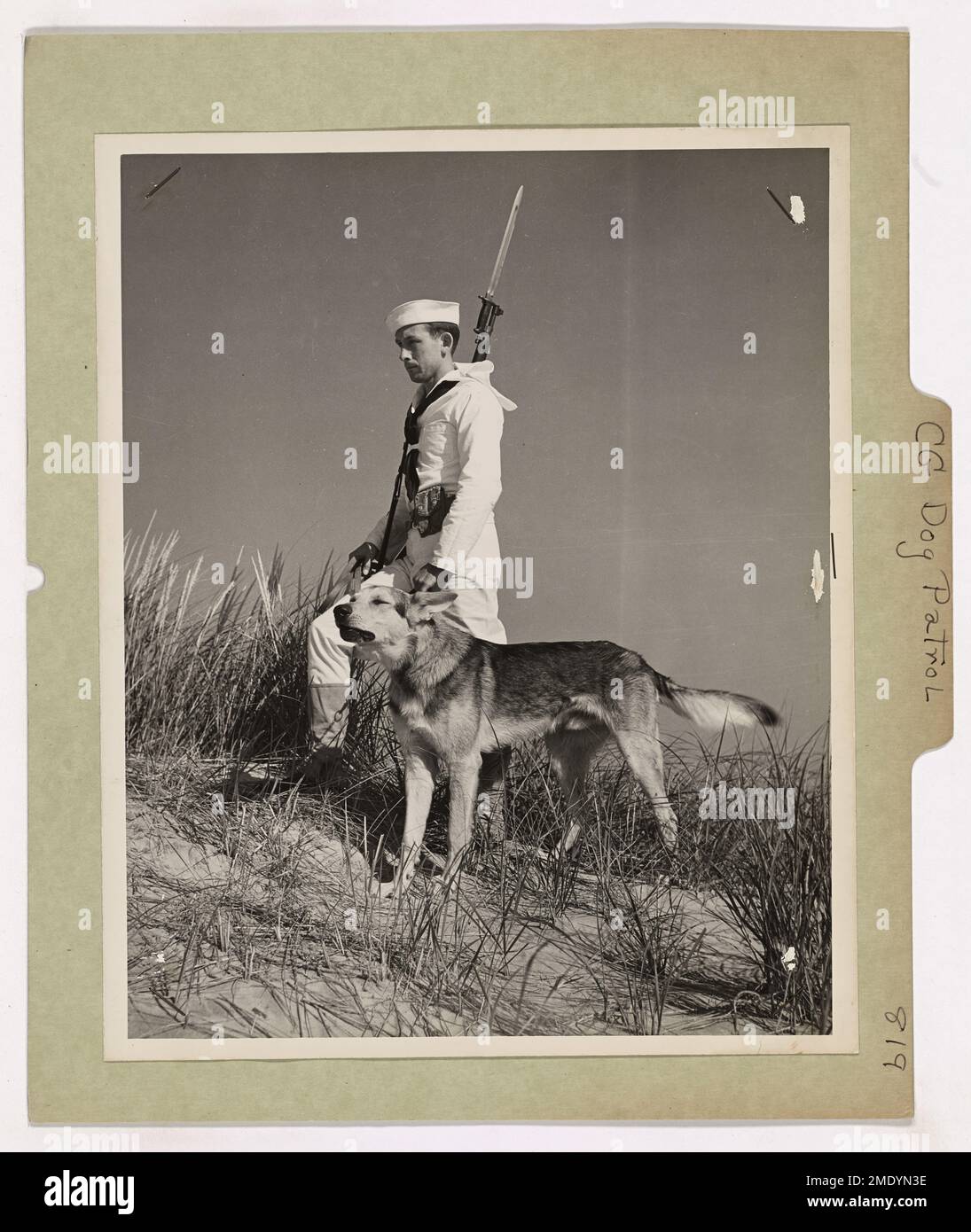 A trained Coast Guard dog is shown lifting its head as it sniffs the ...