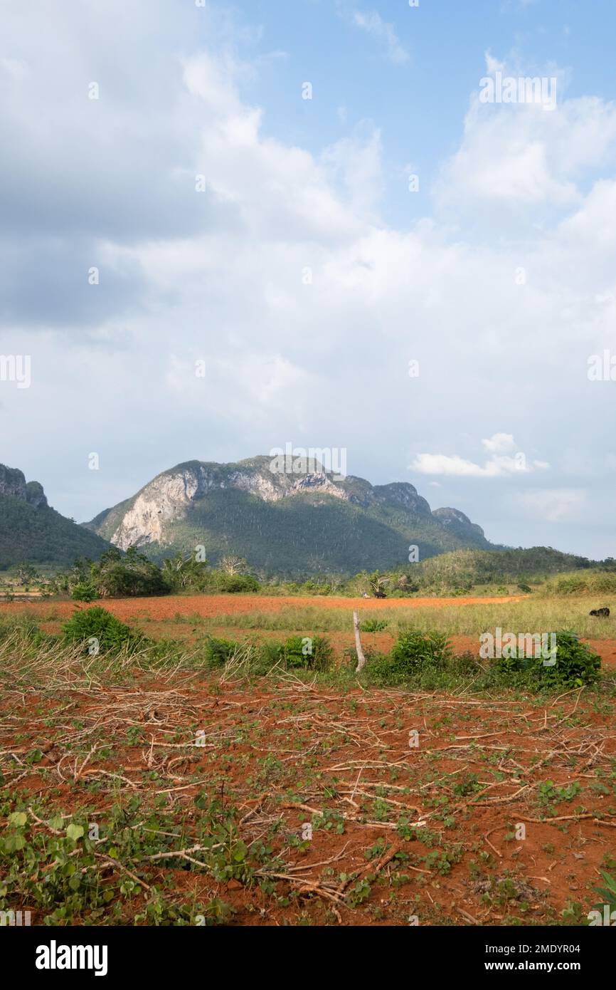 Iron rich soil hi-res stock photography and images - Alamy