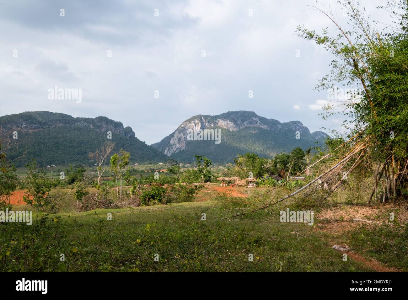Red, iron-rich soil in the Valle de Palmarito, Viñales, Cuba, with ...