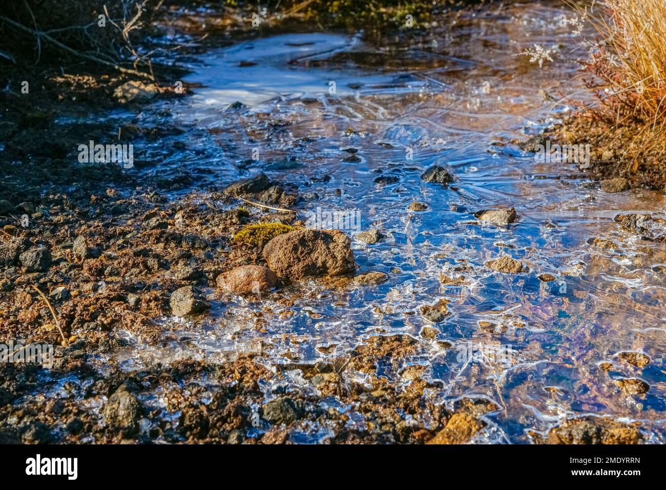 Icy puddle in landscape surrounded by alpine tussock with Mount ...