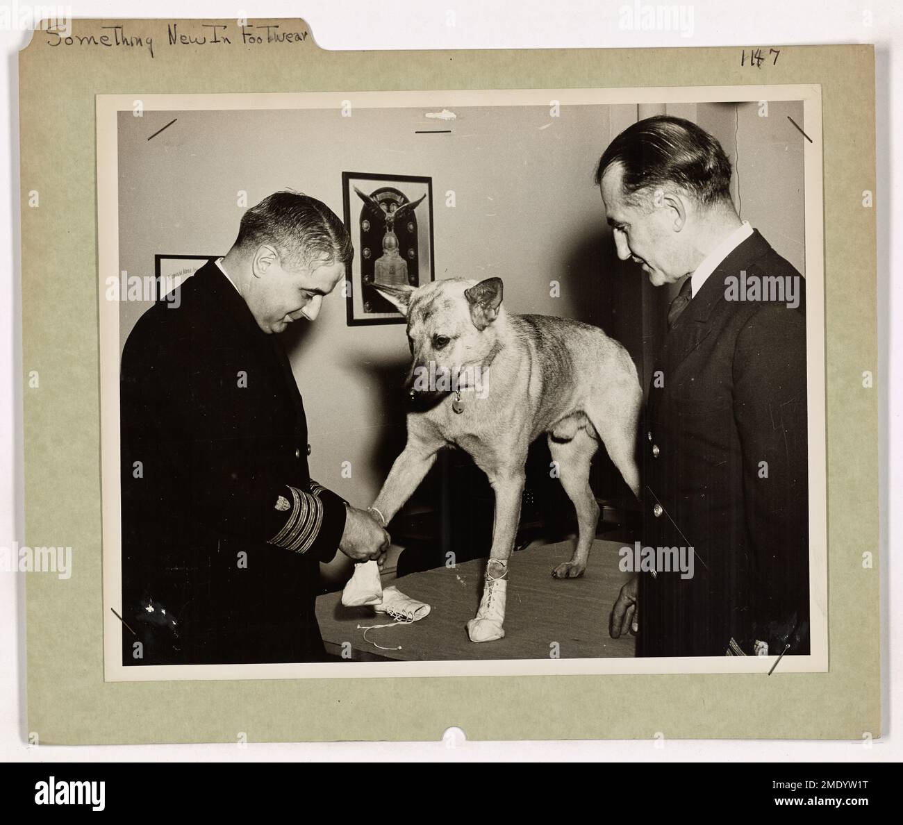 A Coast Guard Dog Patrol chief training officer demonstrates the new ...